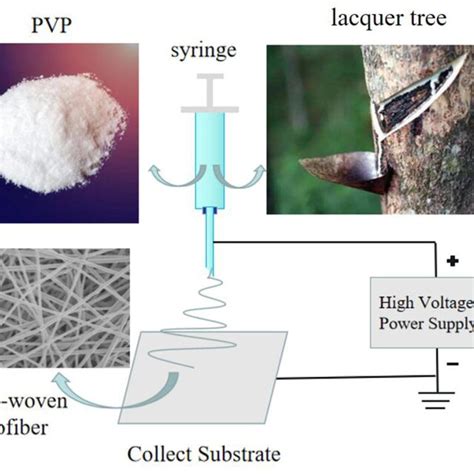 Schematic Diagram Of Electrospinning Download Scientific Diagram