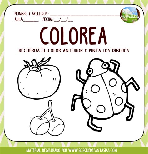 Cuadernillo Para Preescolar Aprende Los COLORES