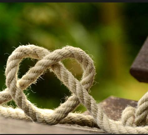 Pin By Fathima Fathima On Whatsapp Dp Images Whatsapp Dp Images Whatsapp Dp Repeating Patterns