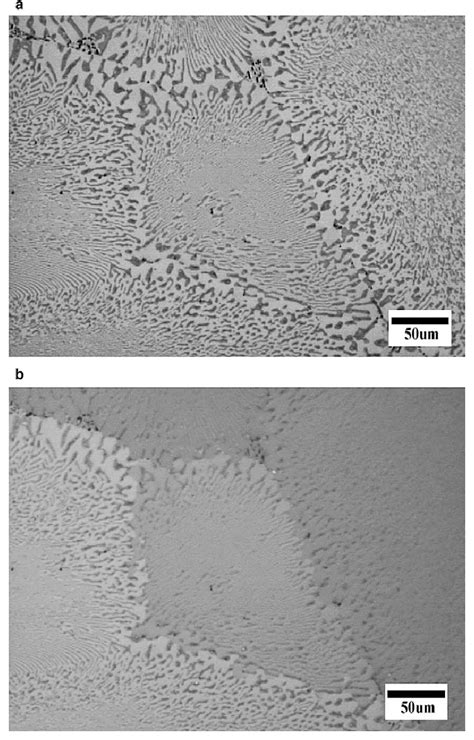 Optical Micrograph Of A Microstructure Typical Of The Slow Cooled