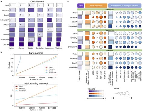 Adversarial Domain Translation Networks For Integrating Large Scale Atlas Level Single Cell