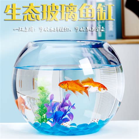 网页无法显示