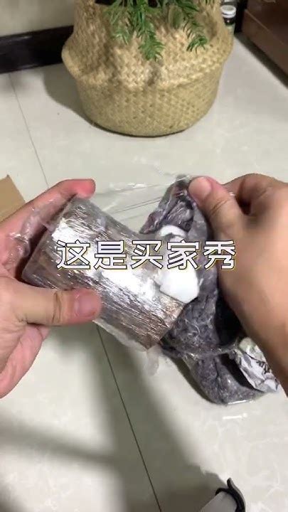 断断续续拍了一个月，本来是拍救它的视频、没想到最后。。。幸运巴西木 Youtube