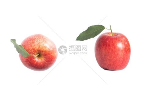 白色背景视图上有叶子的单一红高清图片下载 正版图片504311613 摄图网