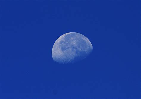 朝の月 ギター余話 Bloguru