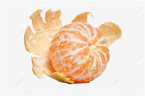 Graphs Of Inanimate Objects Arranged In A Studio For Tangerine Round