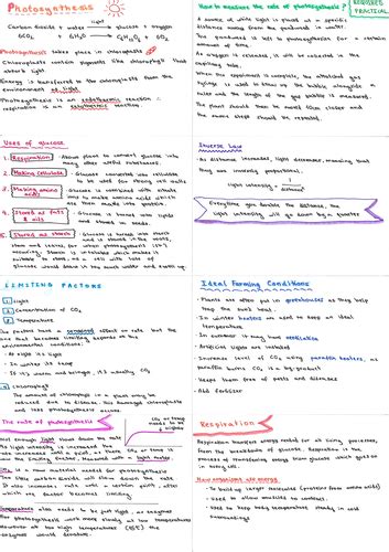 Gcse Biology Paper 1 Flashcards Teaching Resources