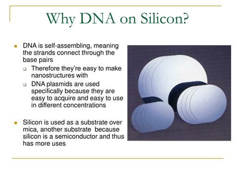 Ppt Mixed Monolayers On Silicon For Dna Attachment Goal Powerpoint