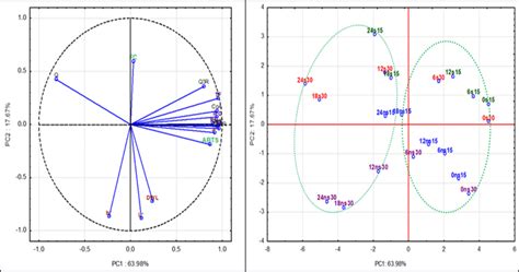 principal component analysis pca loadings plot and score plot of
