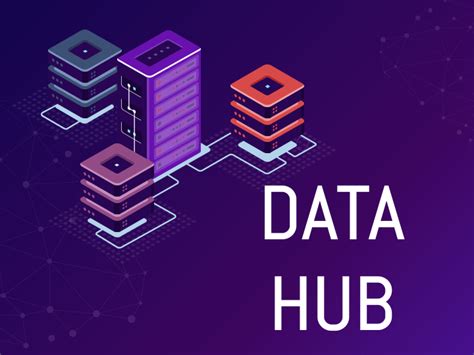 Data Hub PowerPoint And Google Slides Template PPT Slides