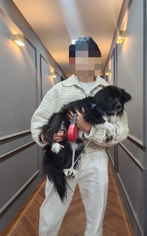 빅토리아 보호소 보더콜리 덕배 입양완료 빅토리아펫보호소 입양완료