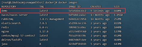 第十九节 Docker部署简单的springboot项目 参码踪
