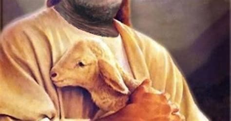 Begun The Sloth War Has Jesus Has Risen Imgur