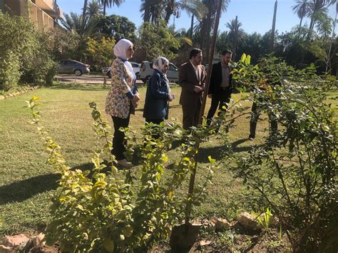 مركز الحاسبة الالكترونية جامعة بغداد ينظم حملة تشجير حدائق المركز