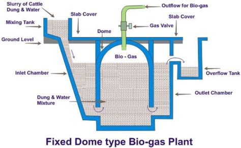 Diagram Of Biogas Plant Cbse Class Notes Online Classnotes