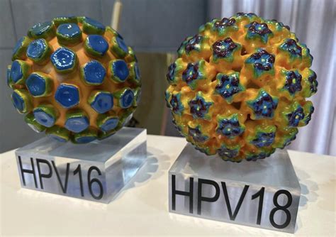 国产九价hpv疫苗很快就来！专家：三期临床试验数据优异腾讯新闻