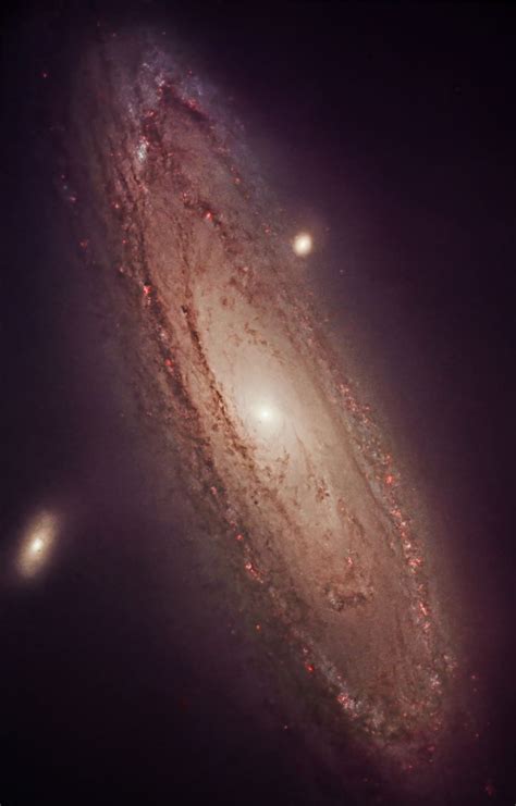 Our Neighborhood The Andromeda Galaxy Smithsonian Photo Contest