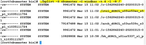 Remote Infrastructure Management Netbackup Performing Oracle