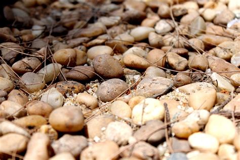 돌길 강 돌 타원형 Pixabay의 무료 사진