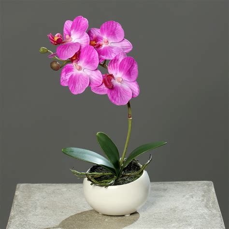Orhidee Artificiala Mov In Ghiveci Ceramic 25 Cm Leaf Shop