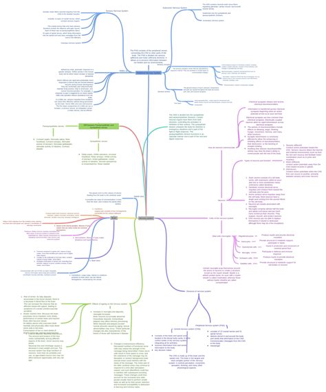 Nervous System Peripheral Nervous System Brain Diff Between