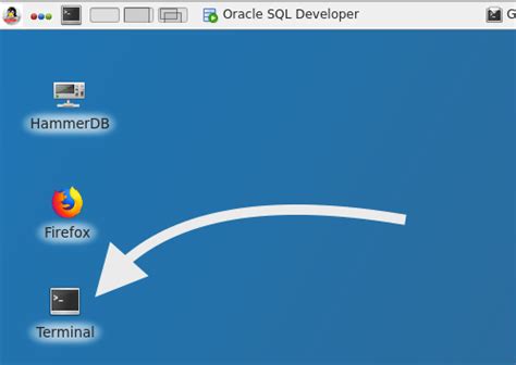 Hands On Lab Autoupgrade To Oracle 19c