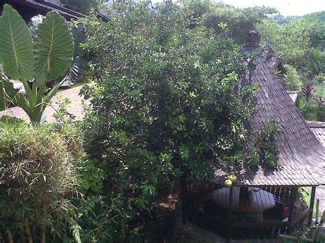 Rudi Santosa Rumah Makan Asep Stroberi