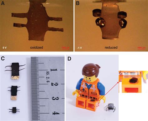 Swedish Researchers Successful In 4d Printing Micron Scale Soft Robots