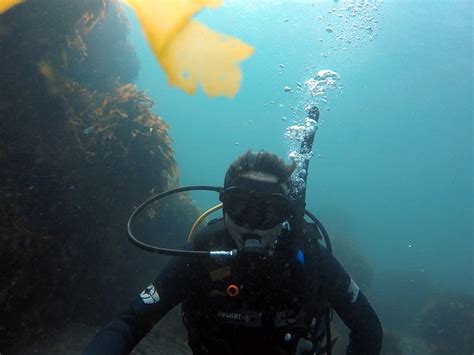 first dive with nate everett toews