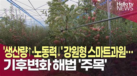 사과 생산량 늘었는데 노동력은 절반 강원형 스마트과원 눈길 헬로tv뉴스 Youtube