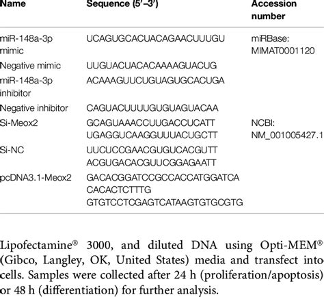 Rna Oligonucleotide And Plasmid Construction In This Article Download Scientific Diagram