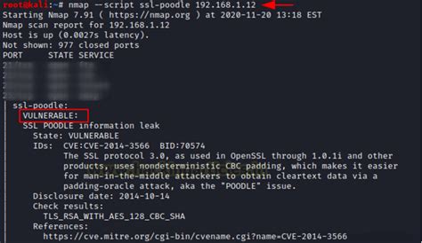 渗透测试人员的 Nmap：漏洞扫描零基础入门教程，网络安全看这一篇就够了！nmap漏洞检测 Csdn博客