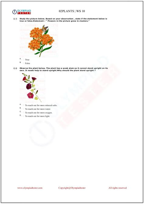 Class 2 Science Olympiad Sample Paper On Plants Set 02 Artofit