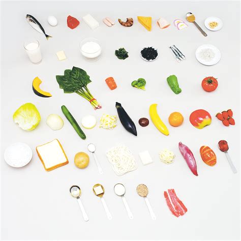 6つの基礎食品群モデル（50種） No52 京都科学