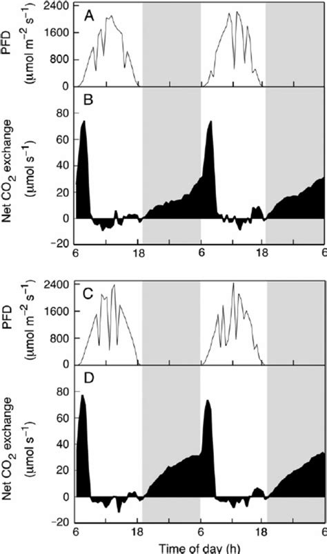 Effect Of Reduced Water Availability On The Pattern Of Day Night Co 2