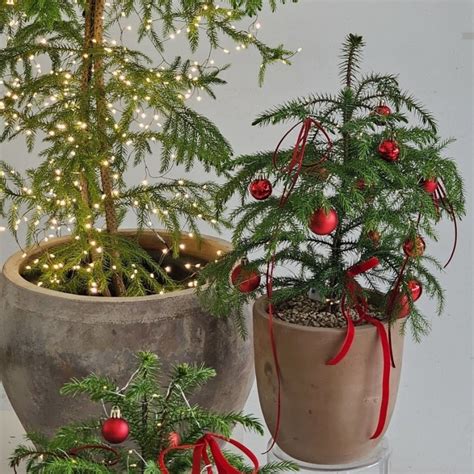 안단테블롬스쿨 And 안단테꽃예술직업학교 강남 플로리스트학원 감성 원데이 클래스 네이버 블로그