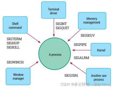 Linux内核之各个sig信号含义linux Sig Csdn博客