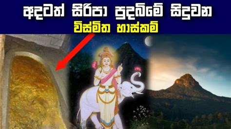 ශ්‍රී පාද අඩවියේ සිදුවන හාස්කම් මෙන්න 🙏 Youtube