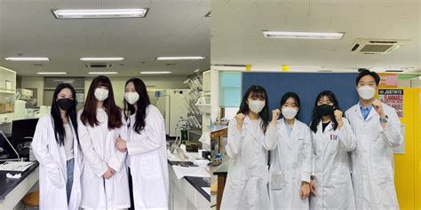 조선대 생명화학고분자공학과 이정수 안성훈 교수팀 학부생연구프로그램 과제 선정 네이버 블로그