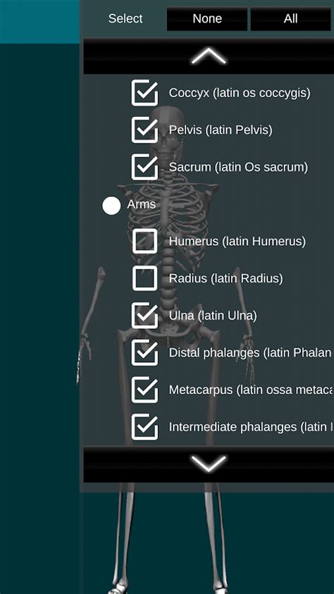 Bones Human D Anatomy Android Apps On Google Play