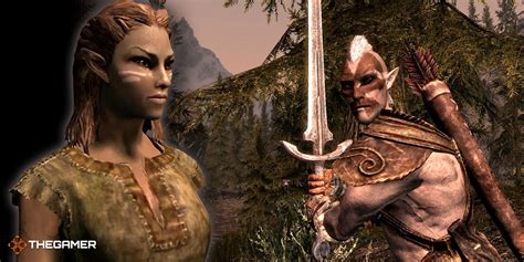 Best Wood Elf Builds In Skyrim