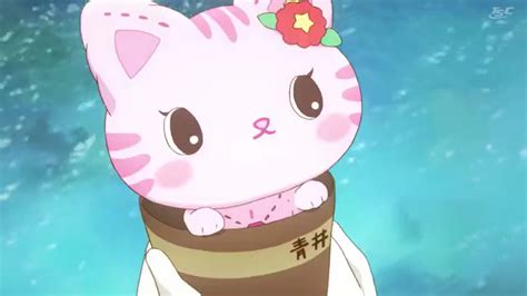 Nene Mewkledreamy Wiki Fandom In 2024 Sanrio Characters Tabby