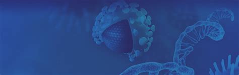 new solution for multi pass membrane protein antibodies mrna antigen