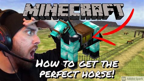 Minecraft Horse Breeding Chart