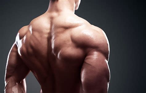 10 exercices pour se muscler le dos La liste complète