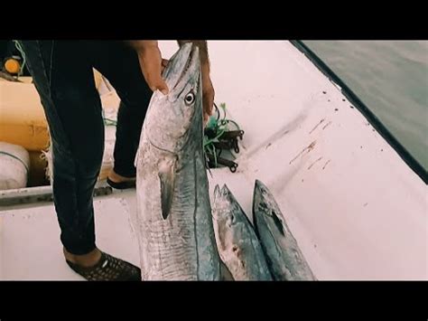 Catch King Mackerel With This Amazing Method How To Catch Big