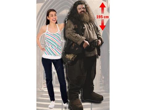 Harry Potter Star Hagrid Lifesized Shaped Cutout Lifesize Vendiloshop