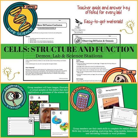 Cell Structure Function Demos Lab Science Stations Science Stations Science Lab