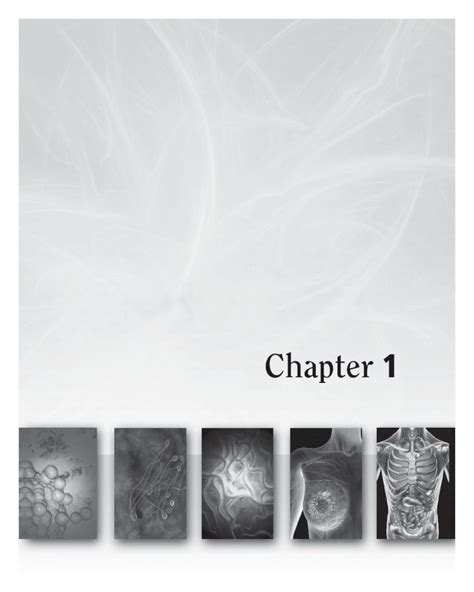 Pdf Chapter 001 Workbook Dokumen Tips