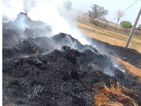8 Bighas Of Wheat Crop Kept In The Barn Burnt To Ashes Villagers Got